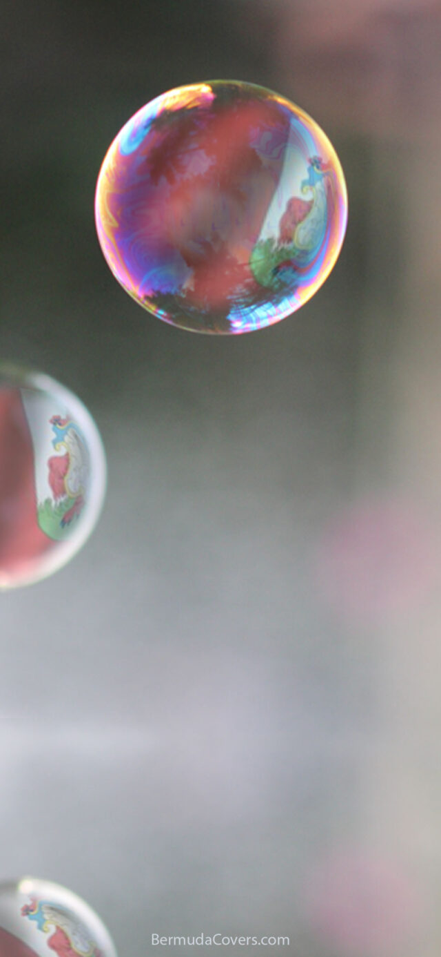 Bermuda Bubbles Facebook Cover & Phone Screen | BermudaCovers.com